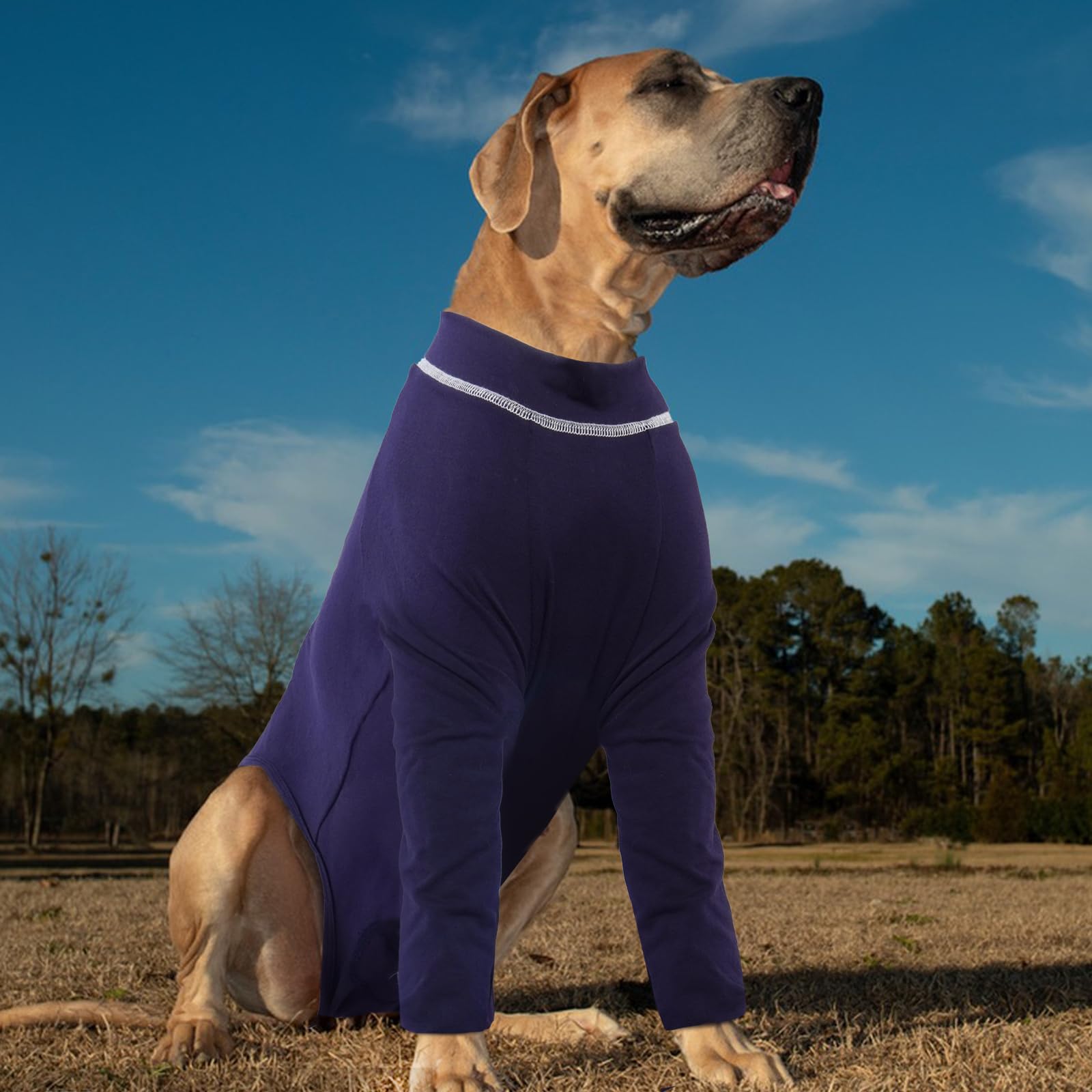 ROZKITCH Dog Surgery Recovery Sleeve for Front Legs, Anti-Lick Wound Protector with Zipper, Dog Elbow Brace for Joint Care, ACL/CCL Sprain, Arthritis, Post-Op Suit, Cone Collar Alternative Blue S
