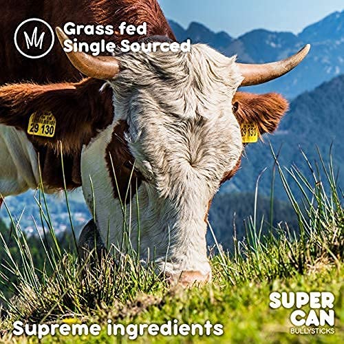 SuperCan Bully Sticks Beef Tendon Chews for Dogs (4-7 Inch Thick Sticks: 10 Count) | Natural Farm Raised Cattle Treats | Long Lasting as Bully Sticks | Promoting Healthy Joints & Hip