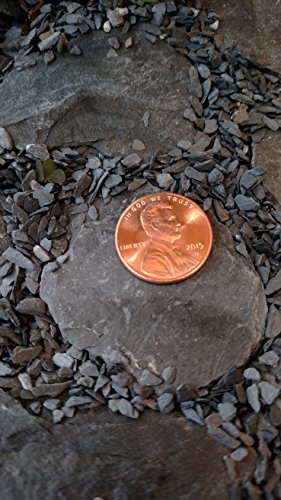Natural Slate Stone - Less Than 1/8 inch Slate Gravel for Miniature or Fairy Garden, Aquarium, Model Railroad & Wargaming 8oz