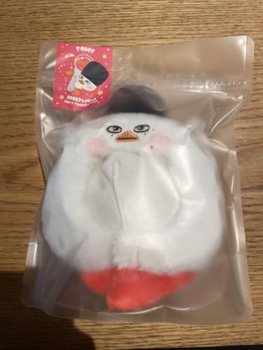RIIZE RIIZING Day Soul Con Penlight Cover Sohi
