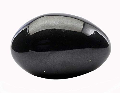 Shaligram for Pooja Lakshmi-Narayan Shila Gandaki River Chakra Saligram Black Pack of 1