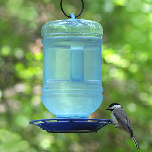 Perky-Pet 780 Outdoor Hanging Water Cooler Bird Waterer and Dispenser,Blue, 1.5 Qt Capacity