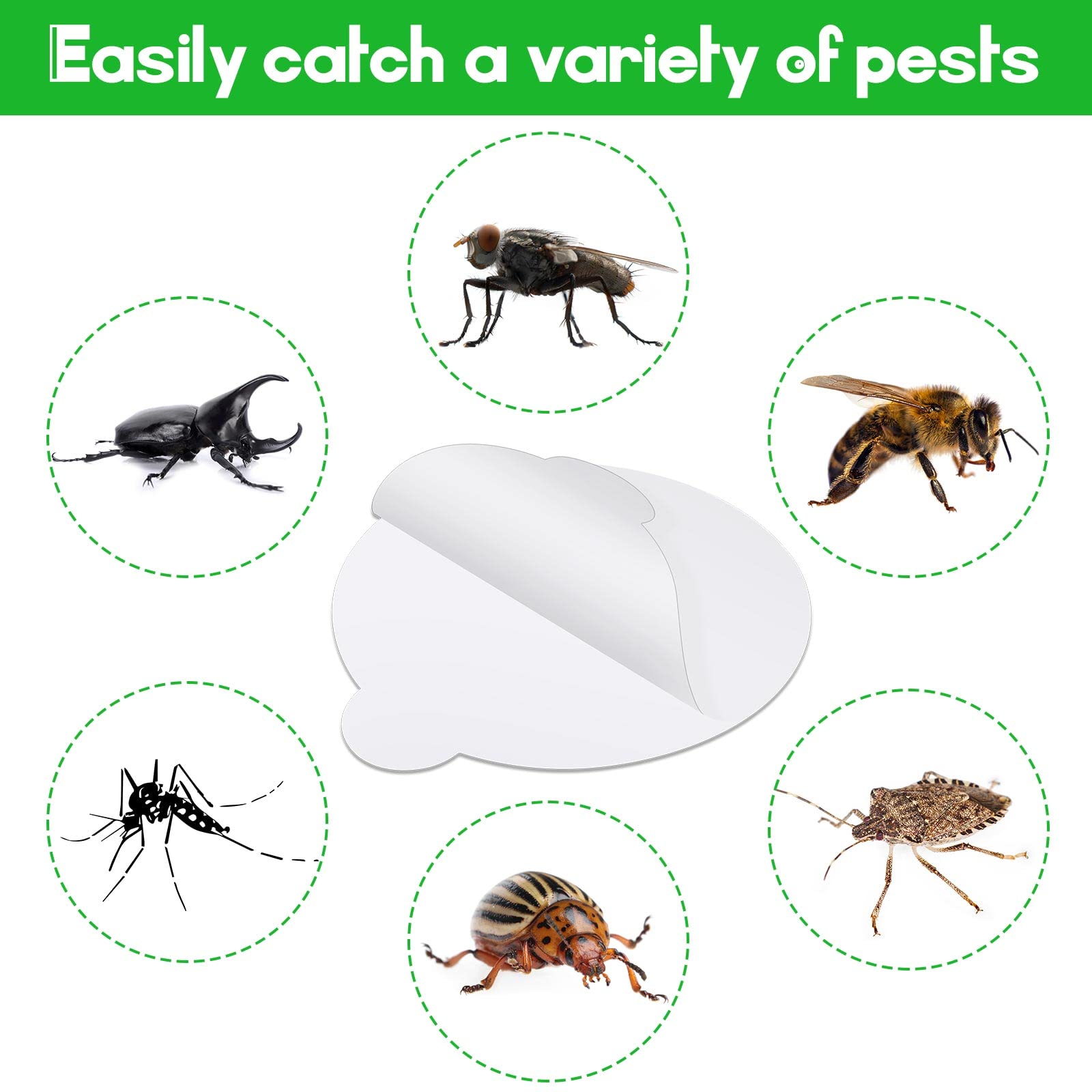 Kittmip 48 Pack Insect Trap Refillable Glue Boards Sticky Fruit Fly Trap Mosquito Fly Killer for Mosquitoes Fruit Flies Gnats Moths Fits Most Models Indoor Outdoor Lamp(Round)