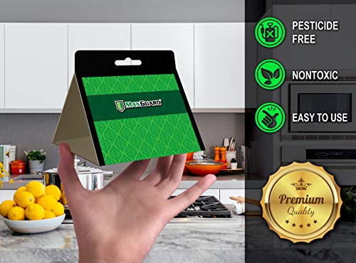 MaxGuard Pantry Moth Traps (24 Pack) with Extra Strength Pheromones | Non-Toxic Sticky Glue Trap for Food and Cupboard Moths in Your Kitchen | Trap and Kill Seed Grain Flour Meal Moths Pests |
