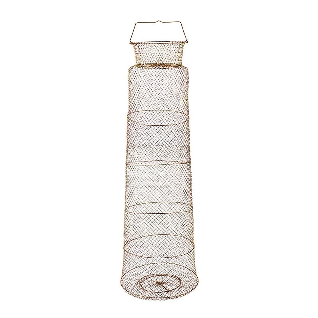 LDCHNH Foldable Metal Fishnet Fishing Basket Portable Fish Cage Outdoor Fishing Tackle Accessories