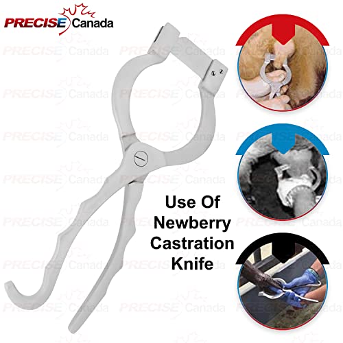 Precise Canada: Newberry Castrating Knife Castrate Cattle Bulls Castration Livestock Animal Vet