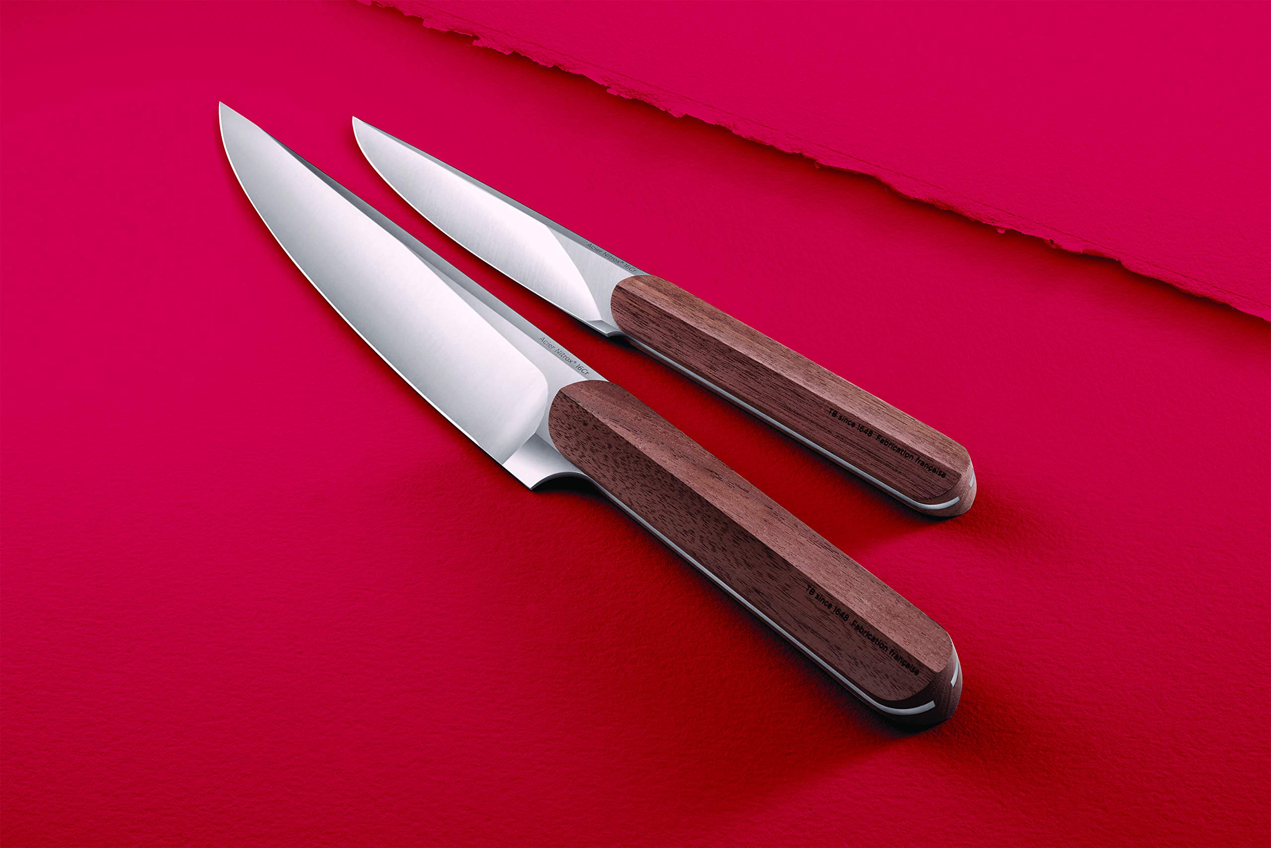TB Groupe - Louis Paring Knife - Nitrox Stainless Steel Knife - 16% Chromium - Exceptional Resistance - Made in France - 3.5”