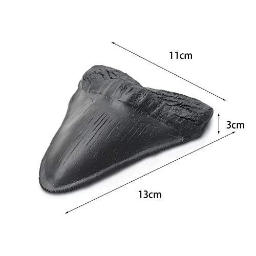 Megalodon Shark Tooth Fossil Giant Shark Tooth Megalodon Tooth Replica (Black)