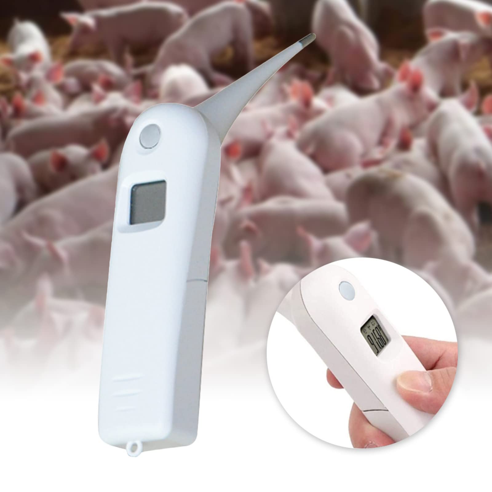 Ozeau Pet with Probe for Accurate Temperature Detection Suitable for Cats Dogs LCD Display for Dog