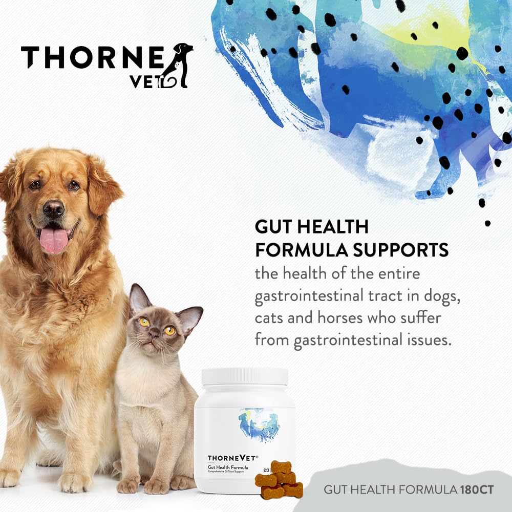 ThorneVet Gut Health Formula – Gastrointestinal Support for Dogs, Cats & Horses, 180 Soft Chews