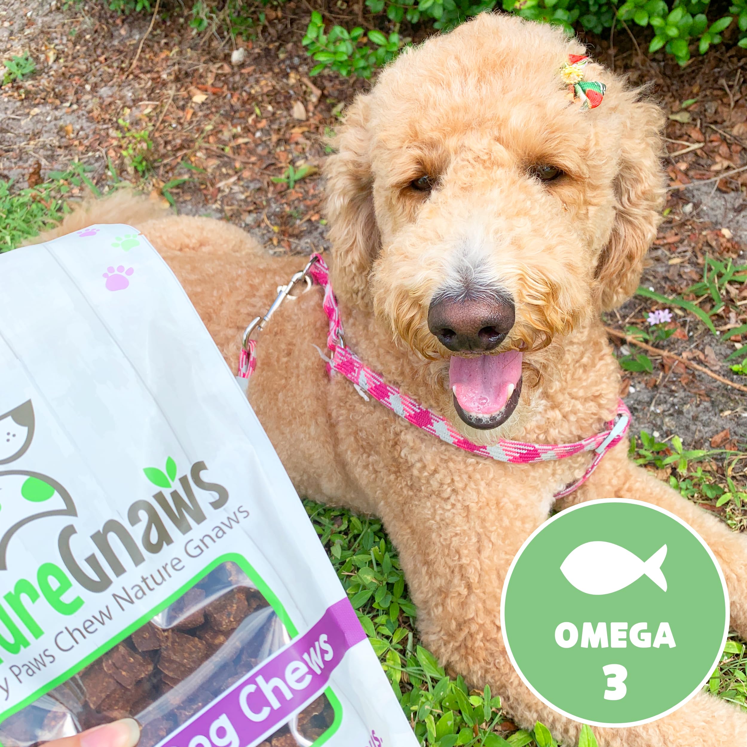 Nature Gnaws Fish Bites for Dogs - Natural Dog Treats β Premium Cod & Salmon Chewy Training Reward β 1 Lb