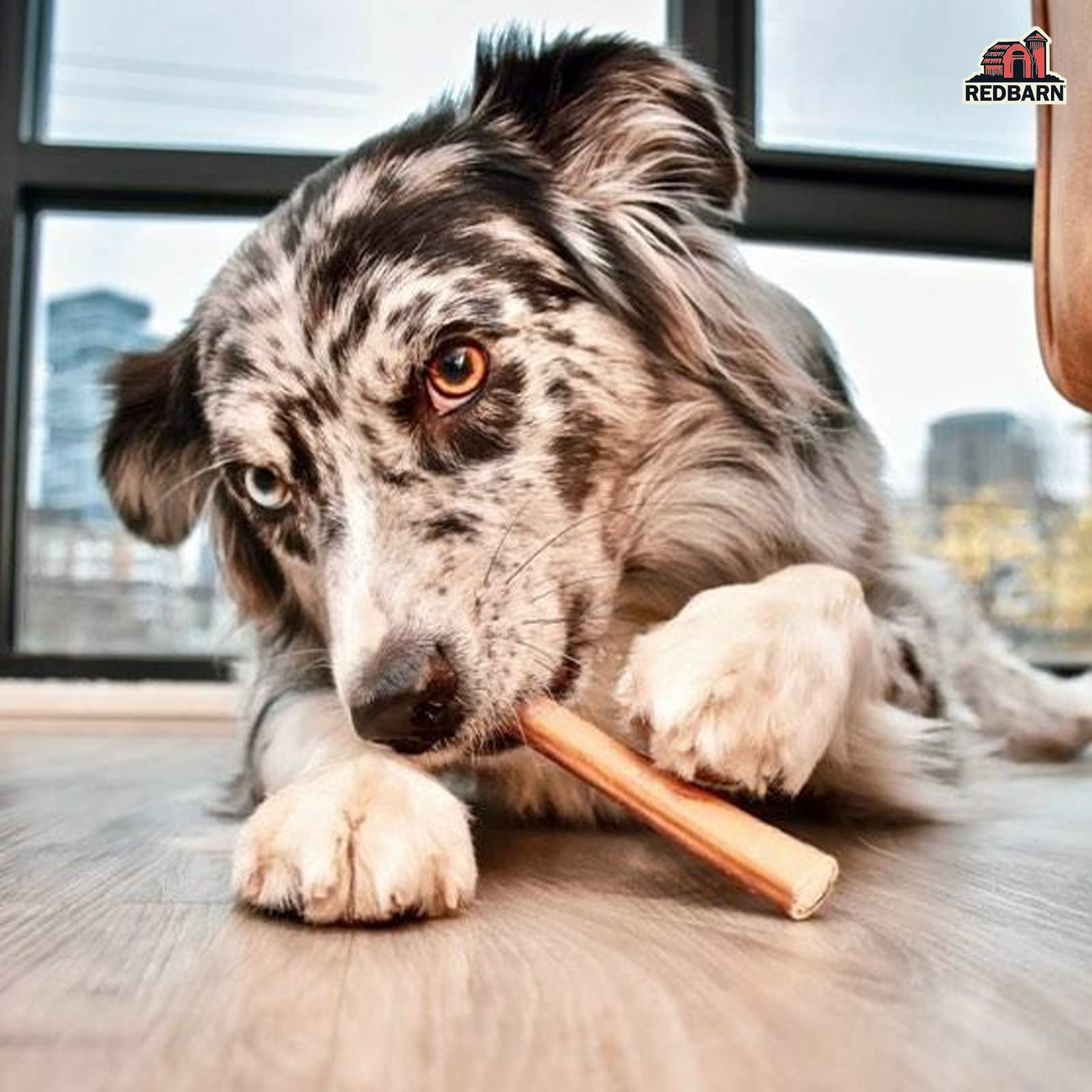 Redbarn Odor Free 7" Bully Sticks for Dogs (35-Count)