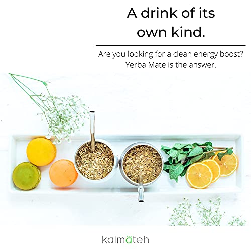 Kalmateh Yerba Mate Gourd Set - Traditional Modern Mate Cup Includes Bombilla Filter Straw and Cleaning Brush- Double Walled Stainless Steel (Turquoise, 8.6 oz)