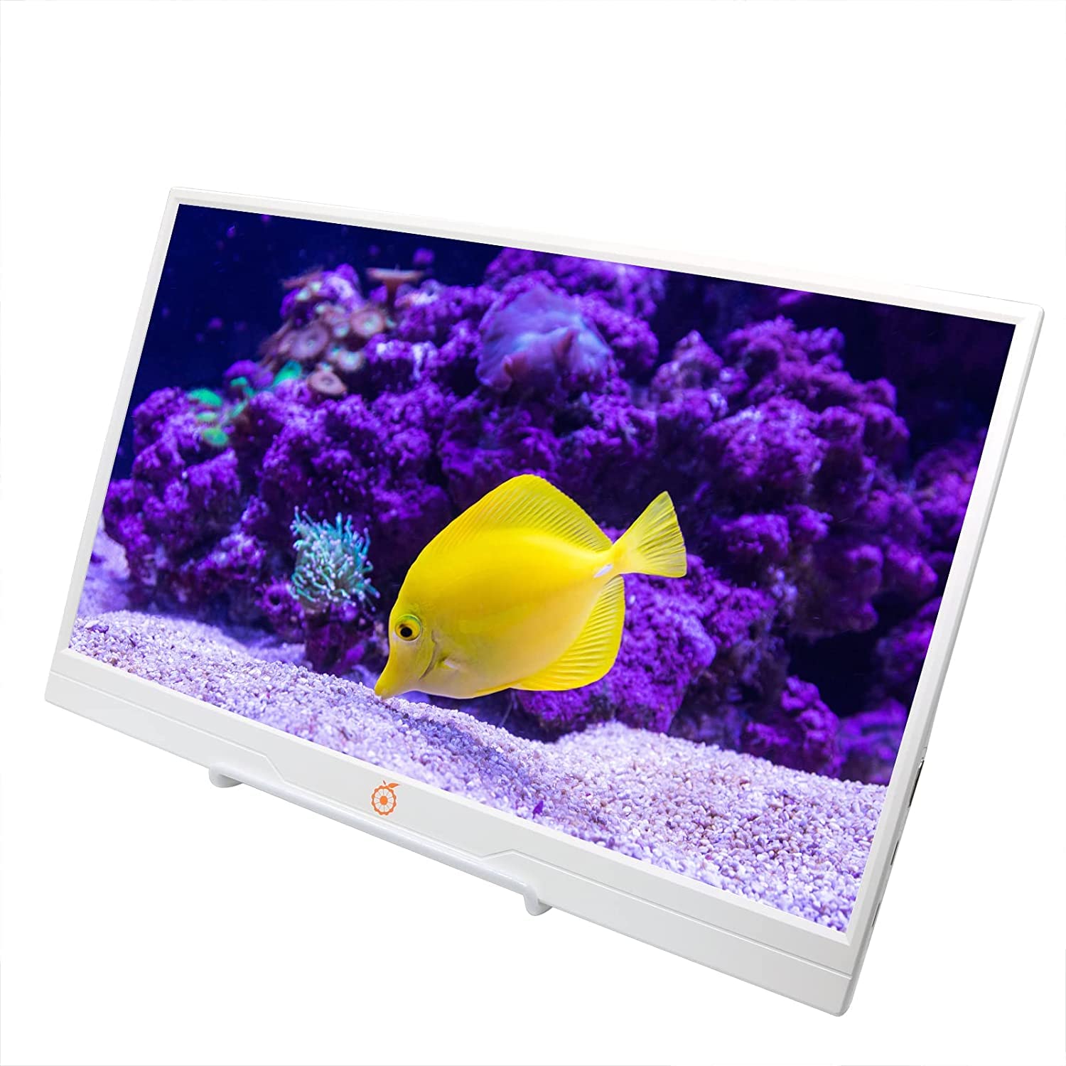 Orange Pi 14 Inch Portable Monitor, 1080P HD Resolution Dual Speakers Multi-Functional Interface IPS LED Backlight Display Panel for Laptop PC Mac Phone Xbox Switch PS5 (14inch)