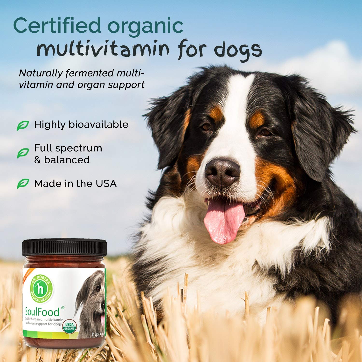 SoulFood Multivitamin β Certified organic multi-vitamin for dogs. Naturally cultured and whole-food based, up to 3 months supply.