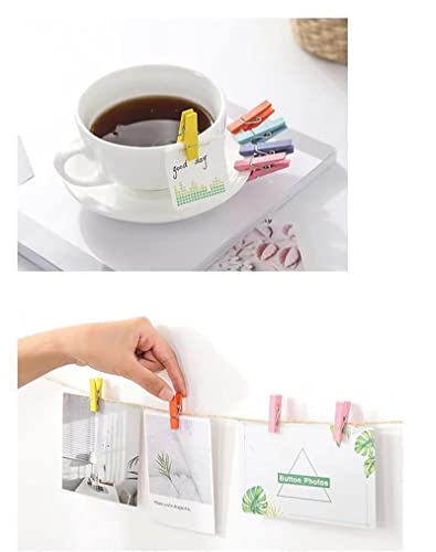 Mippein 100pcs Sturdy Colored Wooden Mini Small Tiny clothespins for Dry Laundry on Clothesline, Bag Clips, Crafts, Photos, Home, School, Arts Crafts Deco