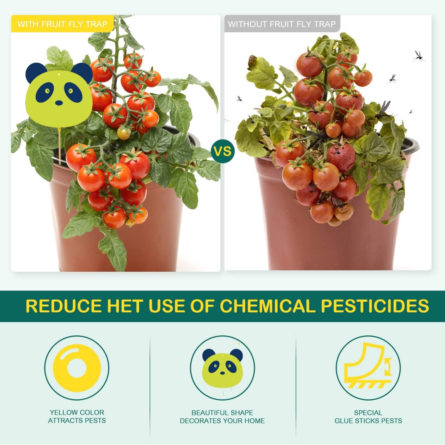 Springco Fruit Fly Traps 53 Pack Panda Gnat Sticky Traps for Indoor/Outdoor House Plants Fungus Traps Insect Catcher for Mosquitoes, Bug,Fungus Gnats,Pest Insect Catcher Killer (53pack(36panda+6+11))