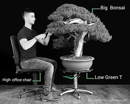 Pollice Verde Green T Basic - Professional Bonsai Turntable - Round