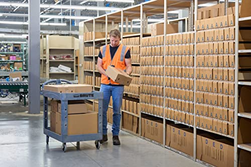 Rubbermaid Commercial Products Brute Heavy Duty 2-Shelf Utility/Service Cart, Medium, Lipped Shelves, Ergonomic Handle, 500 lbs. Capacity, Gray, for Warehouse/Garage/Cleaning/Maintenance/Stadiums