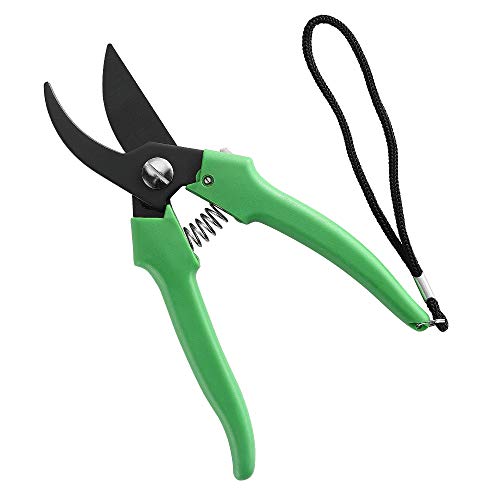 Lebabo 7.5" Pruning Shears, Ultra Sharp Garden Clippers, Metal Pruning Scissors Branch Cutter for Gardening, Flowers, Plants, Herbs, Bonsais (Green)