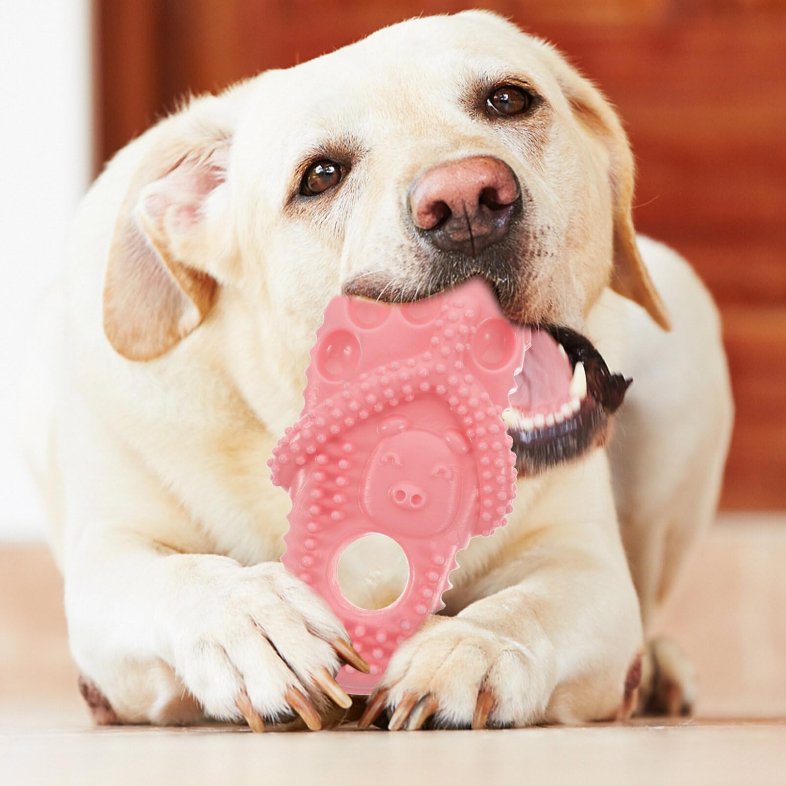 POPETPOP Dog Chew Slipper Shoe Shaped for Teething Puppies Molar Teeth Cleaning Chew Activity