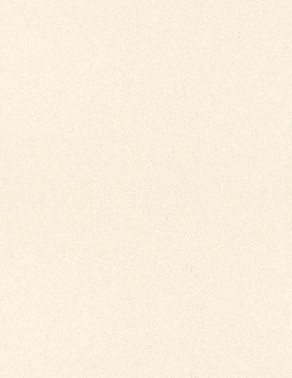 The Felt Store F-50 Industrial Felt – 60 Inch Wide x 3 Foot Long x 3/32 Inch Thick– SAE Pressed Felt for Automotive, Construction, Machinery Components