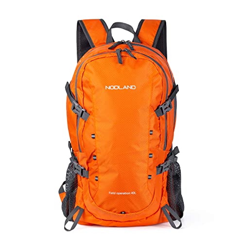 Sharkborough Daypack Backpacks, Orange, 40 Long