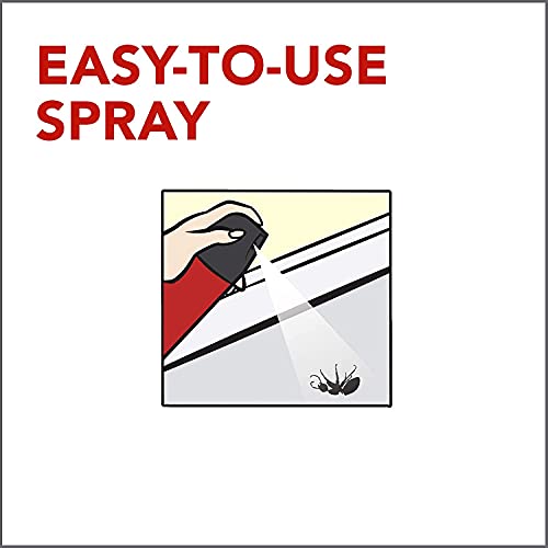 Raid Ant and Roach Killer, Fragrance Free, 17.5 OZ