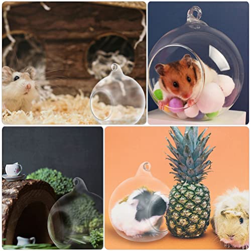 POPETPOP Hanging Flower Pot Glass Hamster House Terrarium Air Plants Containers Clear Small Animal Hideout Hydroponic Flower Vase Guinea Pig Summer Cooling Hut Cage 2Pcs Wedding Decorations