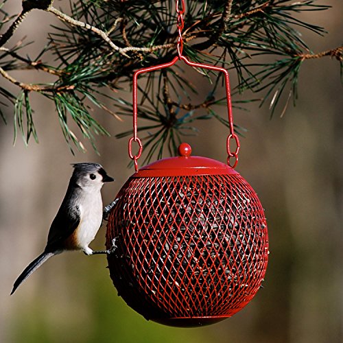 Perky-Pet RSB00343 Red Seed Ball Wild Bird Feeder