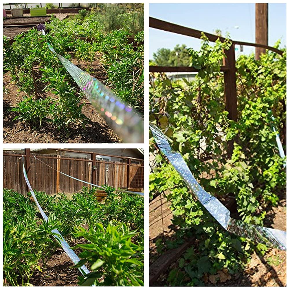 XoreArt Reflective Scare Tape, Double Sided Tape to Keep Away Birds, Pigeons, Crows, Woodpecker, and More (1β by 298 ft)
