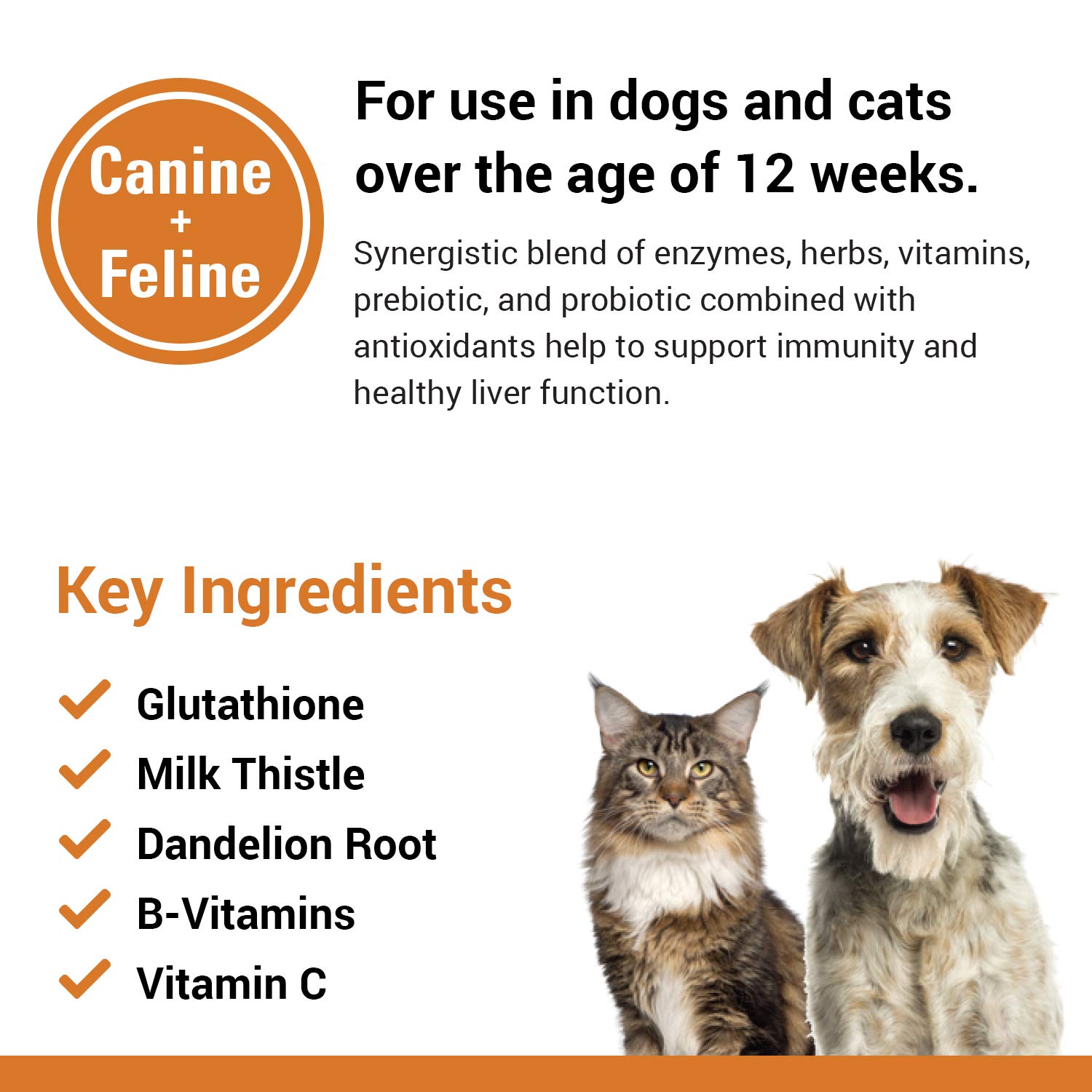 Vet Classics Liver Support Pet Health Supplement for Dogs, Cats β Liver Functions β B-Vitamins, Glutathione, Milk Thistle β Soft Tablets, Chews β 120 Soft Chews