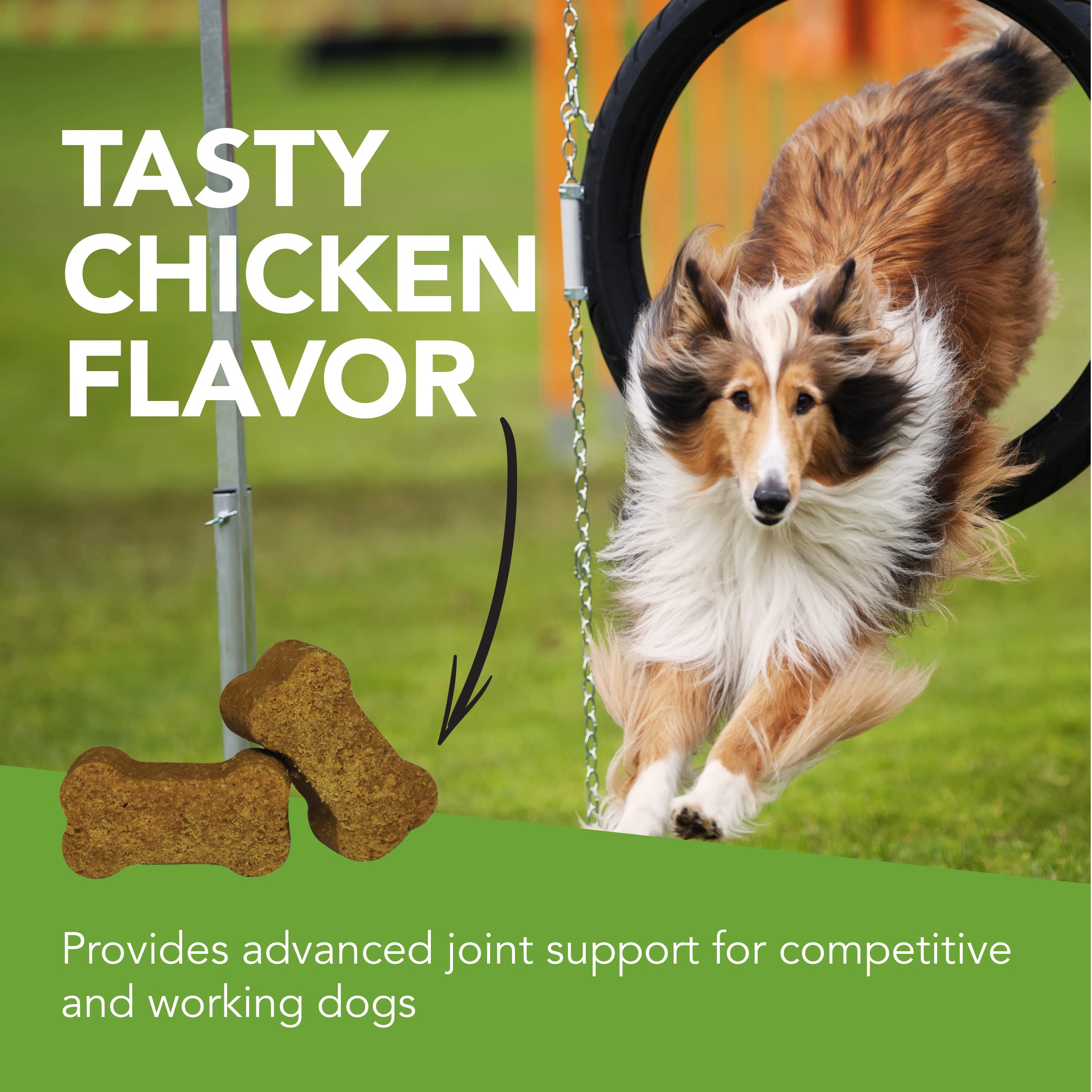 VetriScience GlycoFlex Sport Hip and Joint Supplement for Dogs β Joint Support Chews with Green-Lipped Mussel, DMG, and Glucosamine for Dogs, Chicken Liver Flavor