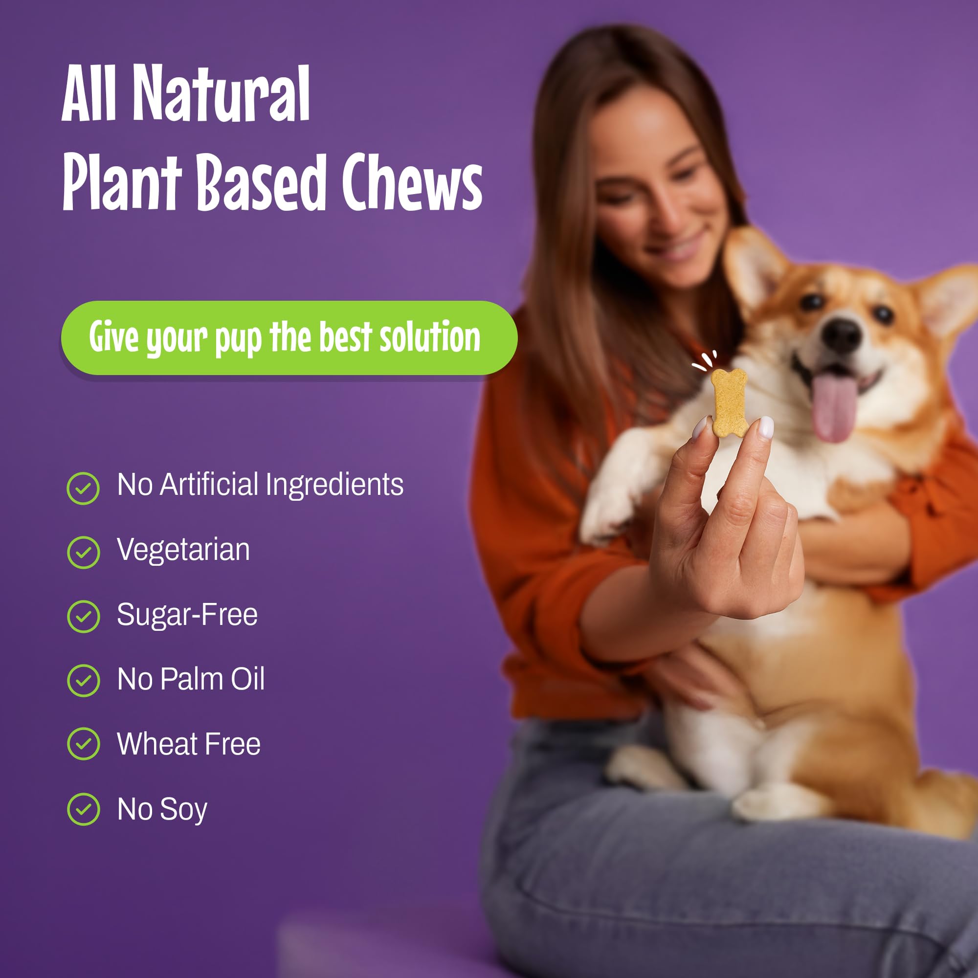 Pawlific Probiotics and Digestive Enzymes for Dogs - Gut Flora, Digestive Health, Diarrhea & Bowel Support - Functional Dog Supplement Soft Chews for Immune System Boost with Pumpkin
