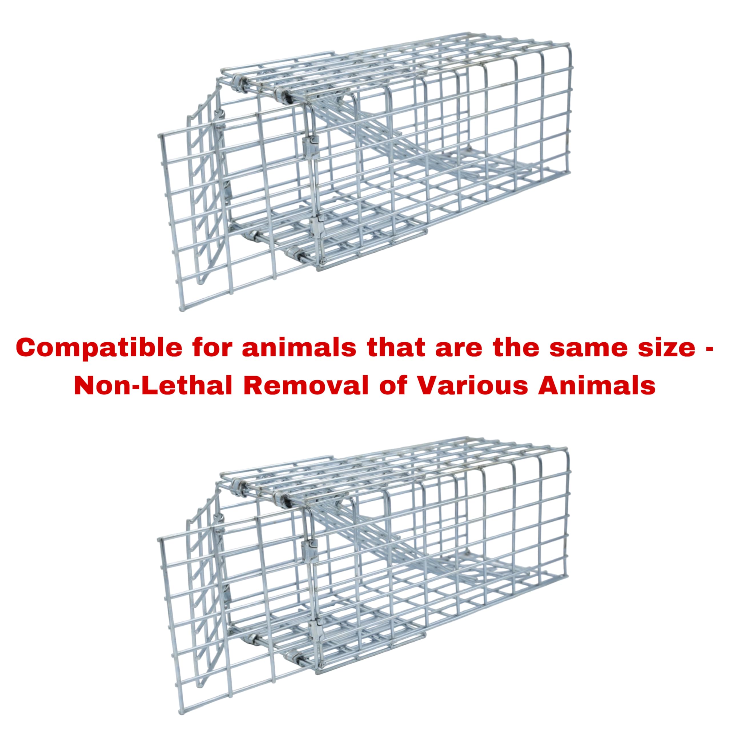 one Way Door Squirrel|Traps Alternative|one Way Door Squirrel|Squirrel Trap Live Trap Squirrel Traps