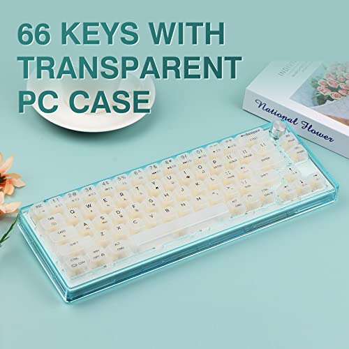 MechLands MC66 65% Hot Swap Programmable RGB 2.4Ghz/ Bluetooth/USB-C Wireless Gaming Keyboard with Double Sound Absorbing Silicone Pad, 4000mAh Battery for Win/MAC/iOS(White, Flamingo Switch)