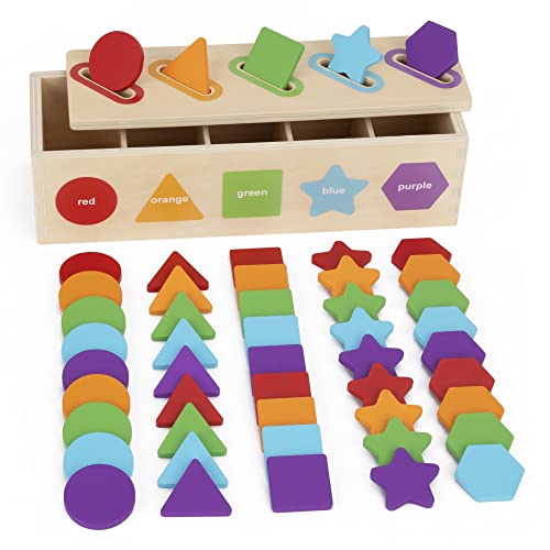 Montessori Toys for 1 2 3 Year Old | Wooden Color & Shape Sorting Matching Toys | Learning Educational Toys for 1-3 Year Old Kids | One 1st 2st Birthday Gift for Boy Girl