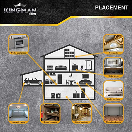 Kingman Prime Rat Mouse Rodent Pest Glue Trap (Large Size) Tray Heavy Duty (5 Pack/ 10Traps) with Connectors