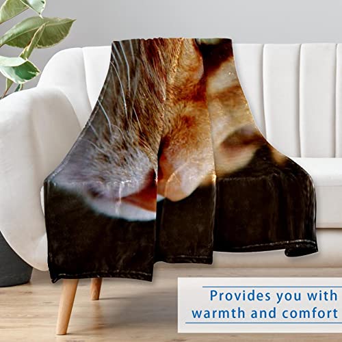 Plush Blanket Throw Blanket Warm Cozy Soft Microfiber Blankets, Animal Orange Cat