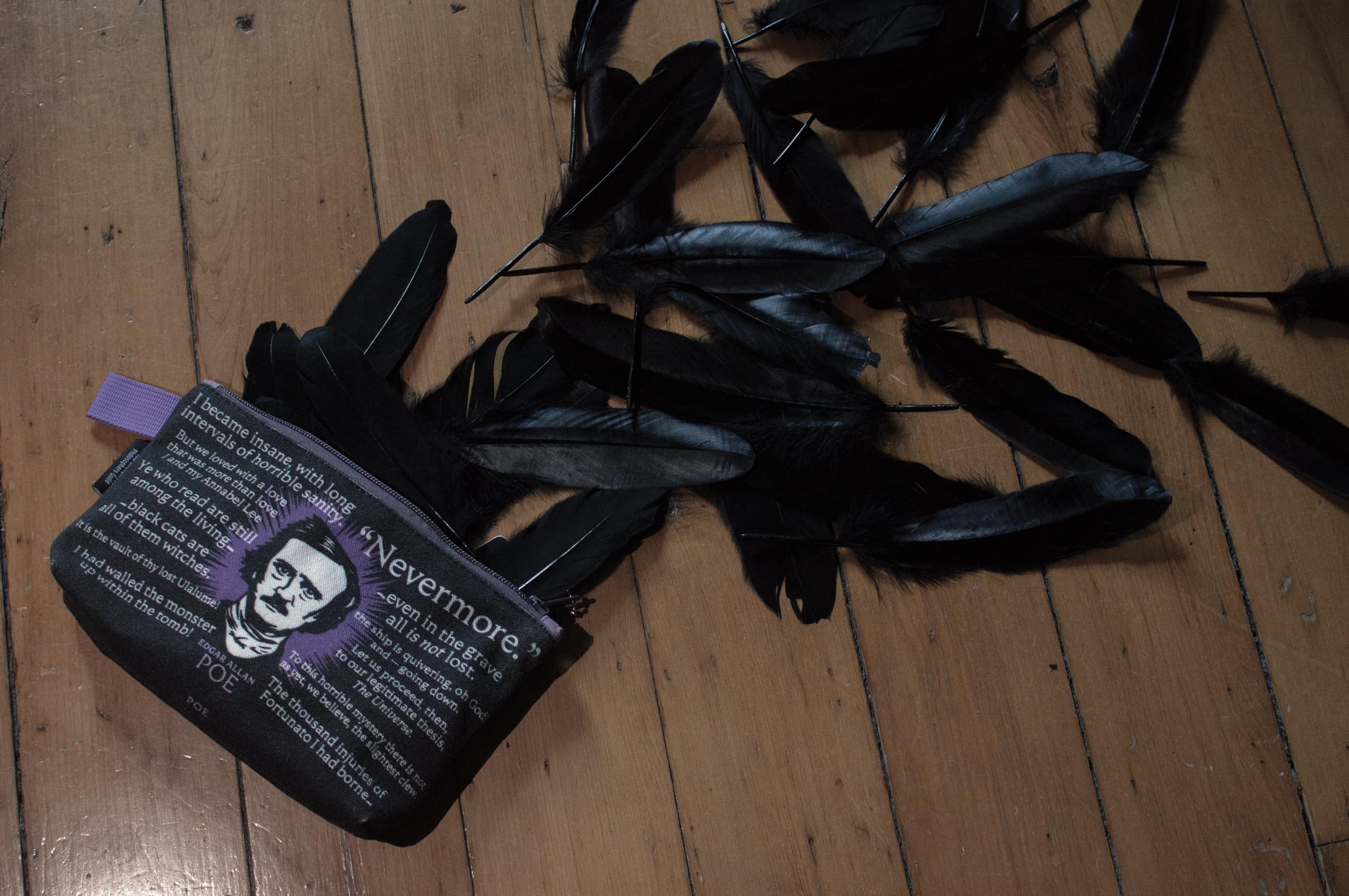 The Unemployed Philosophers Guild Edgar Allan Poe Bag - 9" Canvas Zipper Gothic Themed Pouch for Pencils, Tools, Cosmetics, Toiletries, and More