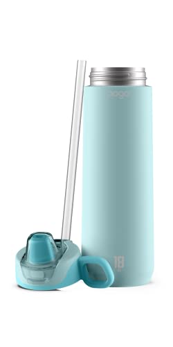 Pogo Active Stainless Steel Insulated Water Bottle with Leak Proof Straw Lid, 18oz, Frost