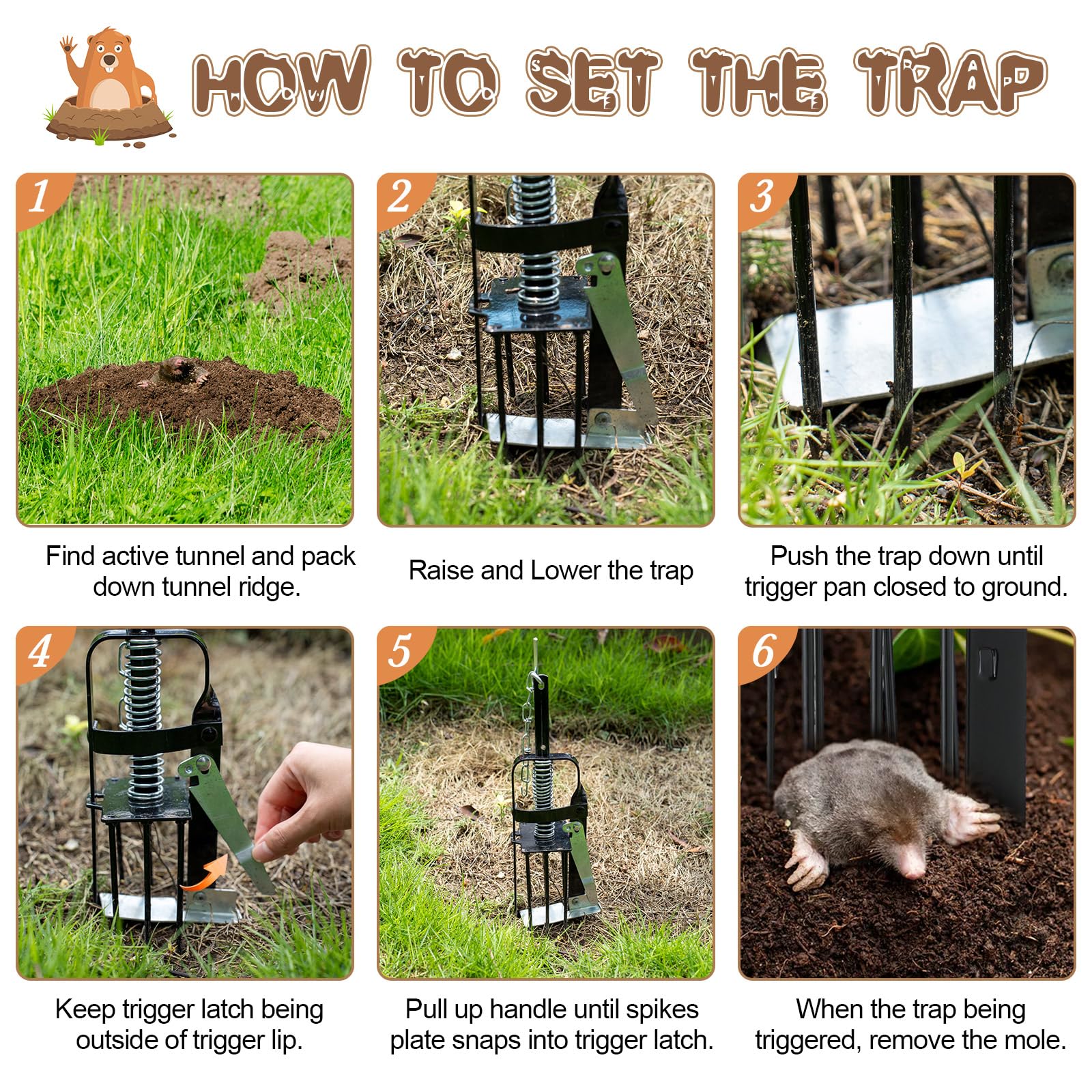 Qualirey 3 Pc Mole Trap for Lawns, Spear Style Mole Killer for Garden Yard Outdoor, Alloy Steel Mechanical Gopher Vole Traps, Quick and Clean