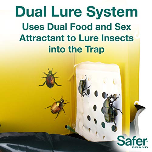 Safer Brand Japanese Beetle Trap w/Attractant - 12 Traps 70102