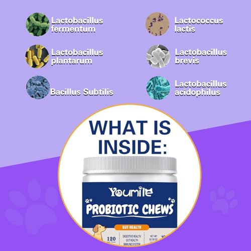SMASUPT Probiotic Chews for Dogs, 120 Soft Chews, 10.58 oz, Gut Health, Digestive Health, Immune System + Probiotic Drops