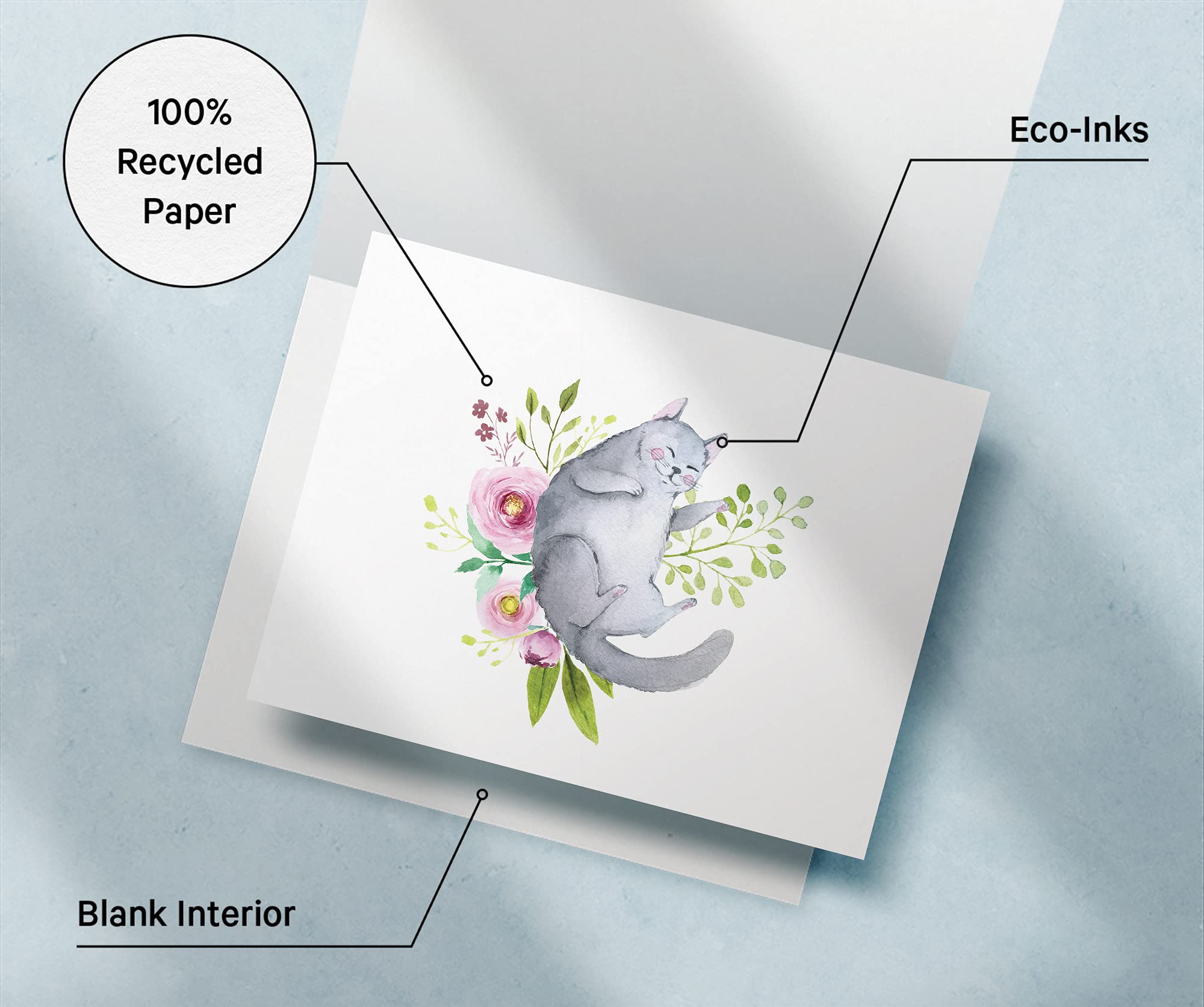Twigs Paper - Assorted Cat Greeting Cards - Stationery Cards with Envelopes - Thank You Card - Blank Note Cards - Greeting Cards for All Occasions - Made in USA (5.5 x 4.25, Set of 12)