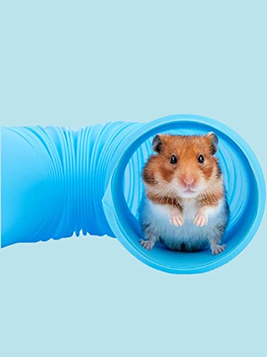 QWINEE Hamster Fun Tunnel Plain Pet Fordable Exercising Training Hideout Tunnel Scalable Pet Plastic Tube Toys for Guinea Pigs Gerbils Rats Mice Ferrets and Other Small Animals Blue One Size