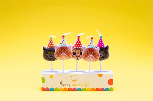 Merrymelting Merry Melting Birthday Candle for Cake Topper (cat Birthday Candle)