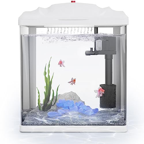 TARARIUM Glass Betta Fish Tank Set Up Aquarium Starter Kit Small Nano 2 Gallon with Waterfall Filter and Planted Light, Self Cleaning for Shrimp Goldfish Desktop Office Home Room Decor