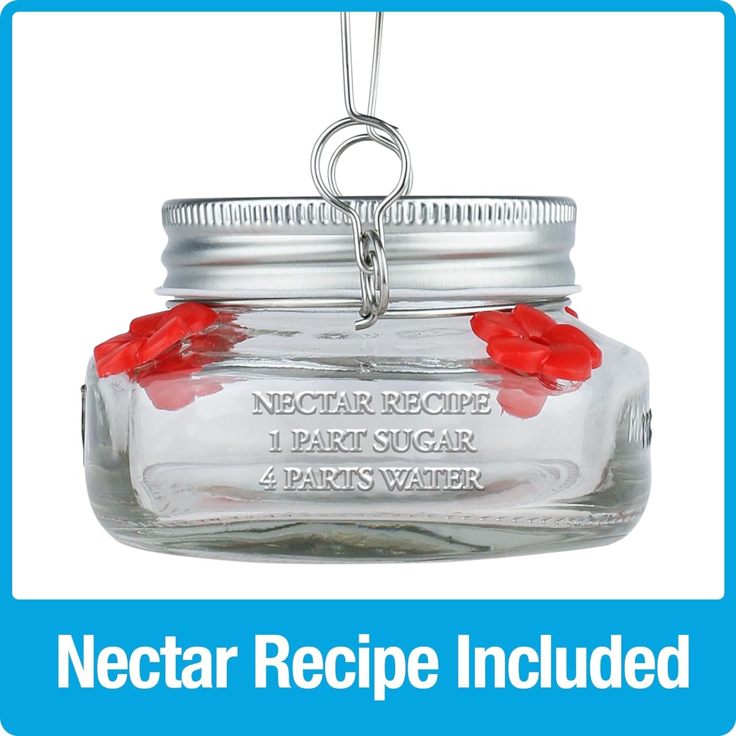 Nature's Way Bird Products MJF1 Nature's Way Mason Jar Hummingbird Dish Feeder, Clear 4" dia.