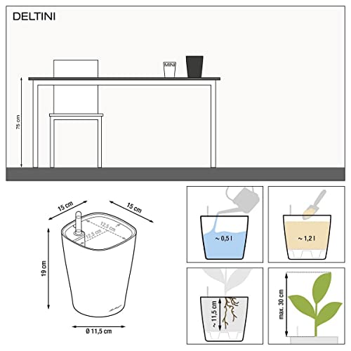 Lechuza 14900 Deltini Self-Watering Planter for Indoor and Outdoor Use, 6" x 6" x 7", White